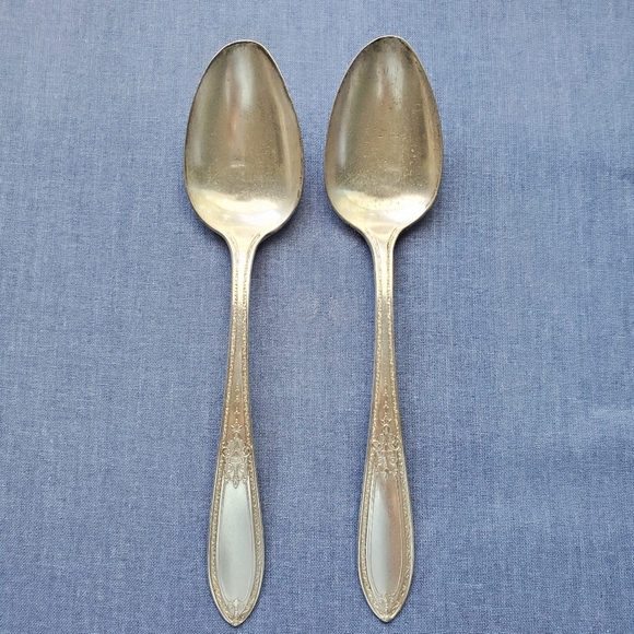 Wm Rogers & Sons | Dining | Rare Wm Rogers Sons Aa Silverplate Serving ...